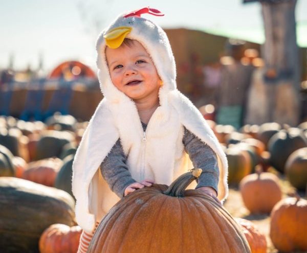 Show Us Your Halloween Costumes - Toledo Parent